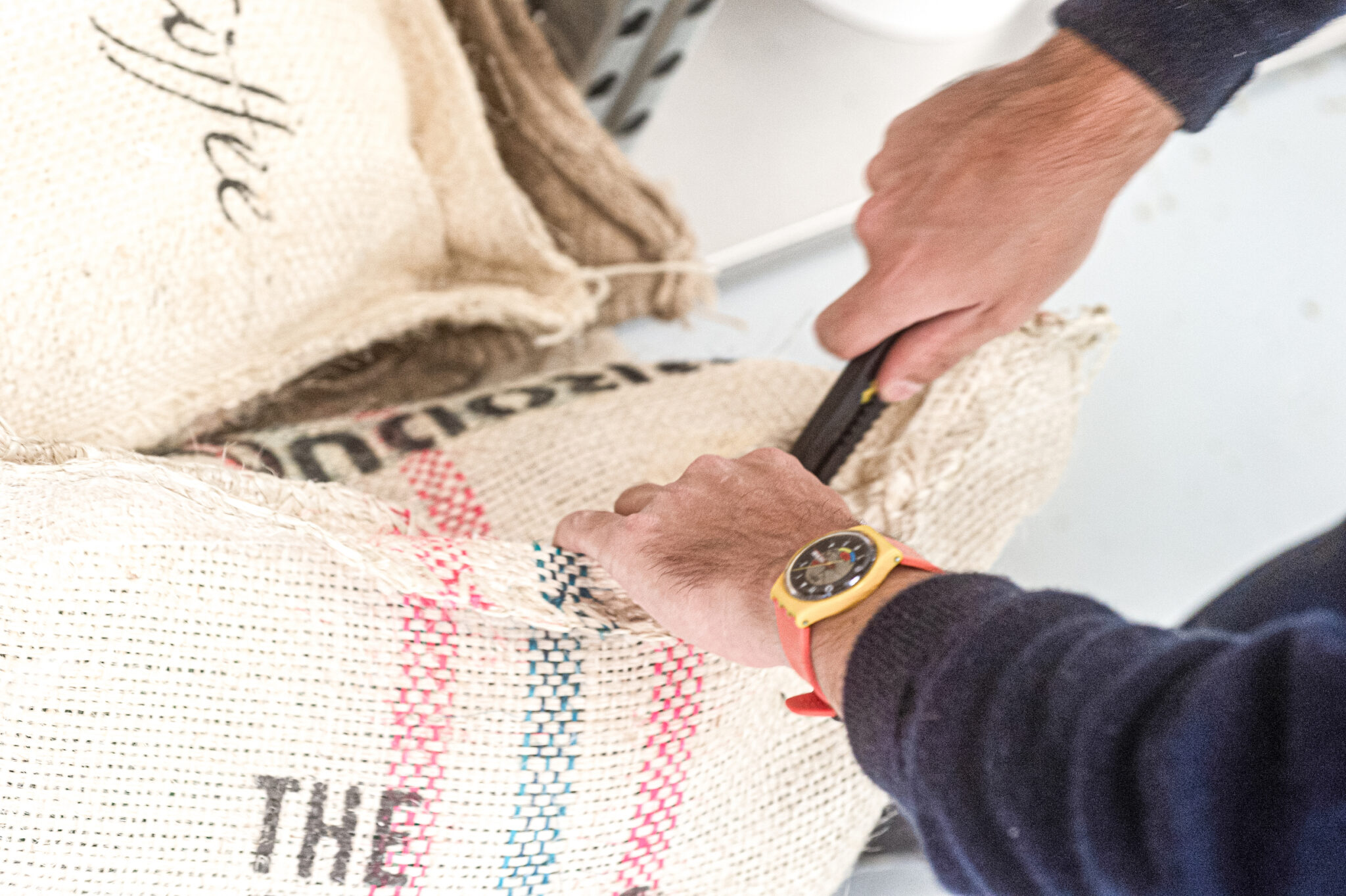 Café Nibi et Solipolis, au service du goût et de l'inclusion - Solipolis